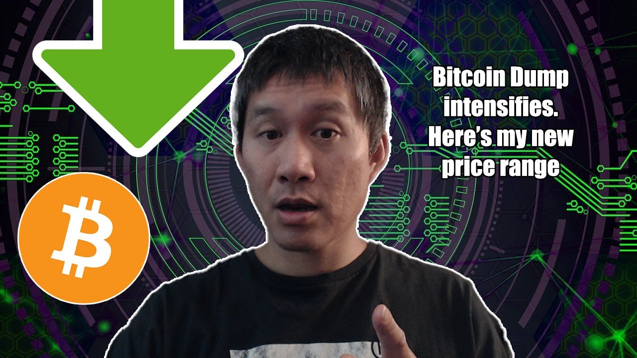 Crypto Dump Intensifies. Here's My NEW Predicted Price Range